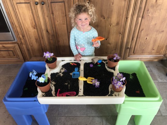 In The Garden Mini Pack for Toddlers and Preschoolers