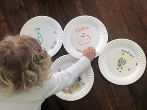 In The Garden Mini Pack for Toddlers and Preschoolers